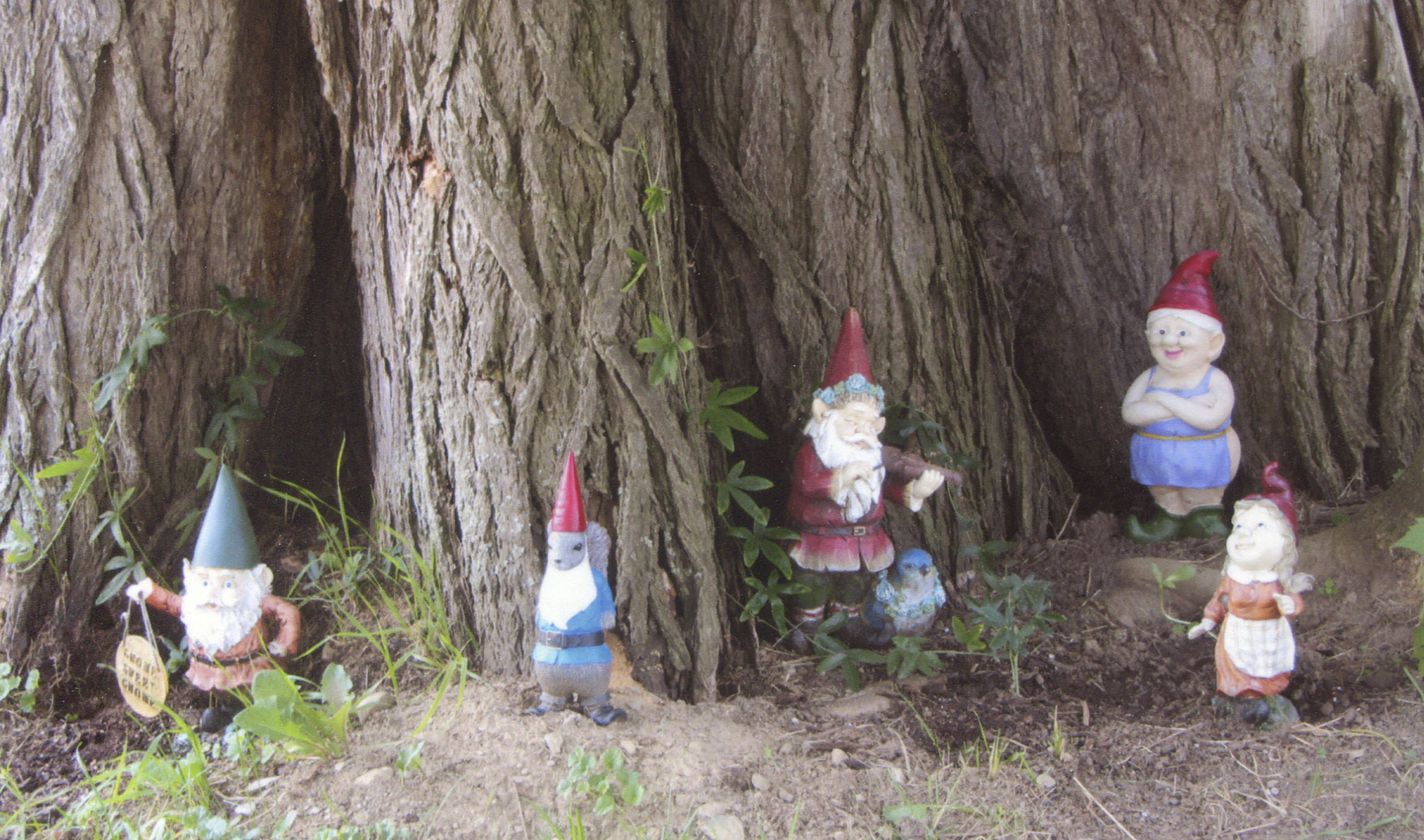 Beloved gnome family missing from Williams Street | News, Sports, Jobs ...